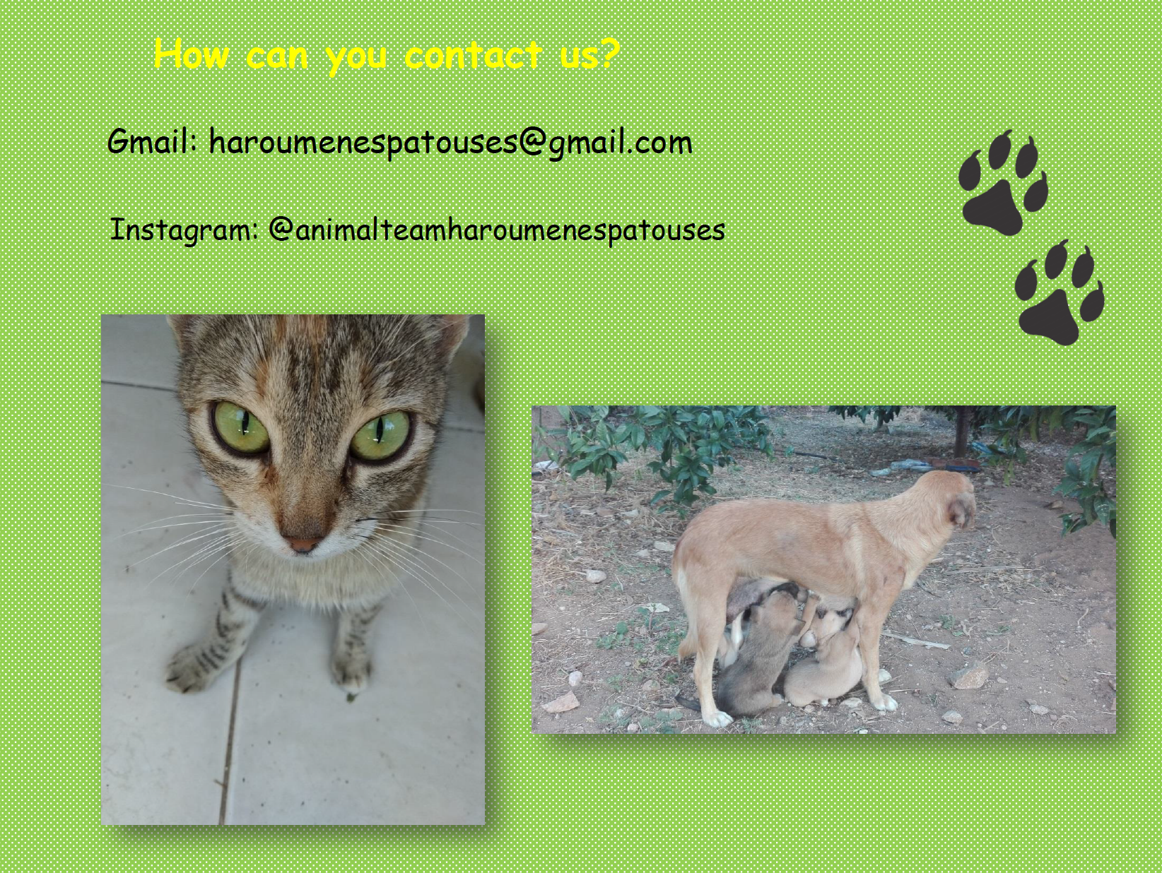 Haroumenes Patouses – Green Teen Team